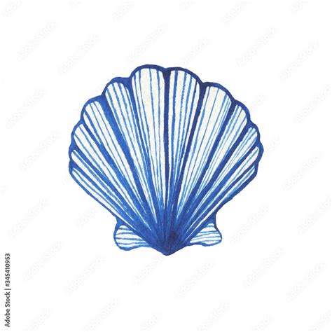 Blue Seashell