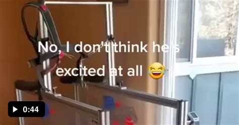Good Boi Cant Hold Back His Excitement 9GAG