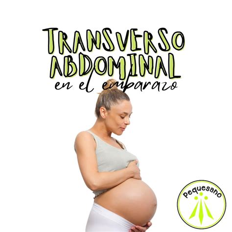 El Músculo Transverso Abdominal Durante El Embarazo