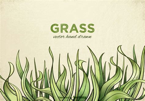 Free Hand Drawn Grass Vector 99197 Vector Art At Vecteezy