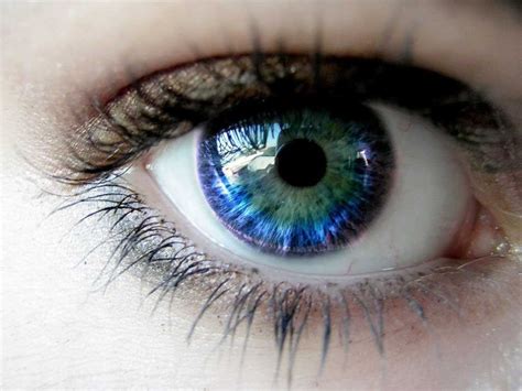 OPTICA