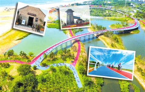 趁春光正好，微风不燥 到阳光海岸绿道来一场绚丽骑行吧 日照要闻 日照新闻网 日照第一门户网站 日照新闻 日照日报 黄海晨刊