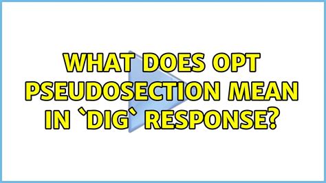 What Does Opt Pseudosection Mean In `dig` Response Youtube