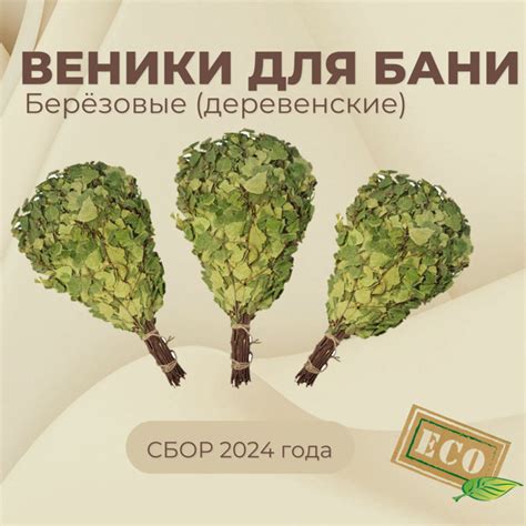 Веник для бани Березовый 3 шт купить с доставкой по выгодным ценам