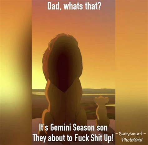 Its Gemini Season Rastrologymemes