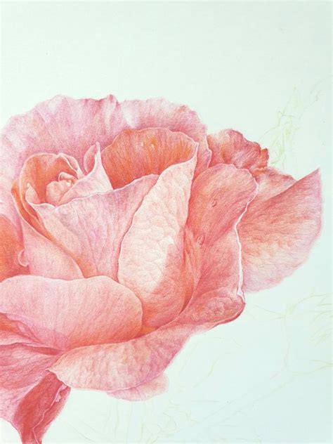 작가되기31 더 세밀하게 그리기 장미 그린 꽃 수채화 작가 꽃 예술