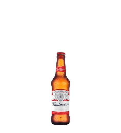 Budweiser Beer Bottle 330ml Buy Online At Best Price Premium