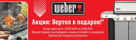 Грили с барбекю в Красноярске — купить с доставкой по цене Grillion