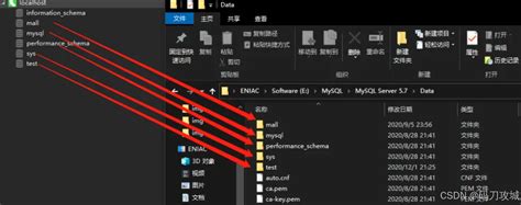 Mysql数据 在 磁盘上是什么样子的