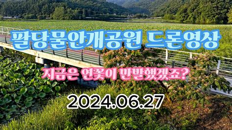 팔당 물안개공원 연꽃 Youtube