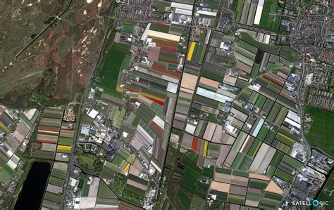 Multispectral Imagery Satellogic