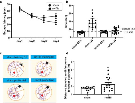 Morris Water Maze Deficits In Rm Tbi Mice At 16 Week Post Rmtbi All