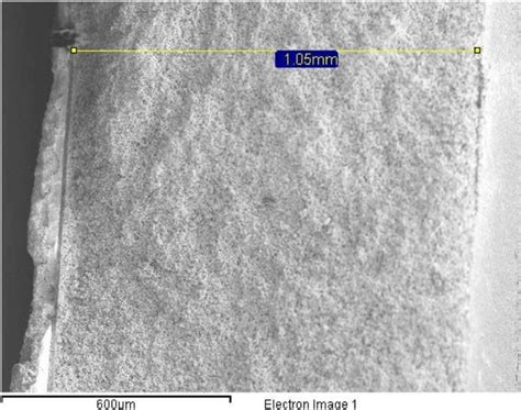 Sem Cross Section Image Of The Ni Fe Anode Supported Sofc With