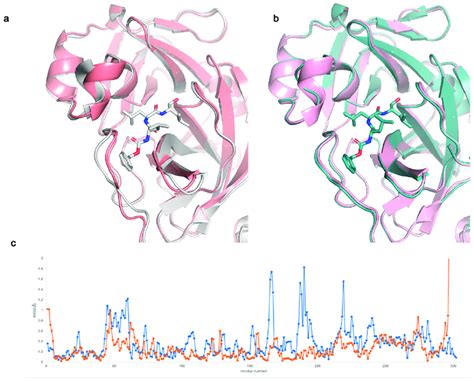 Comparison Between Mpo Apo And MG 132 Complexed Structures A In Download Scientific Diagram