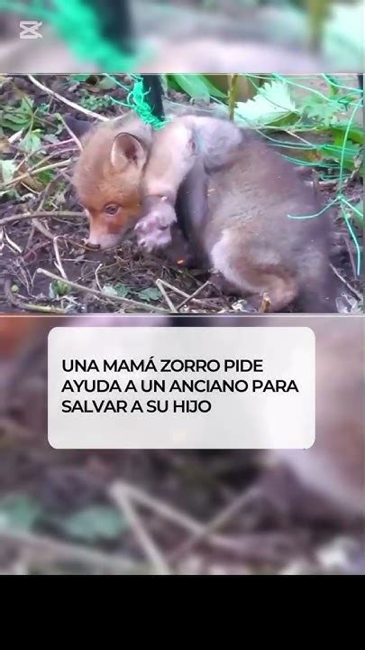 27 De Mayo De 2025 Youtube