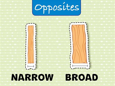 Opposite Words For Narrow And Broad 302154 Vector Art At Vecteezy