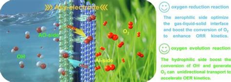 可充电锌空气电池中匹配氧反应可逆动力学的不对称电极chemical Engineering Journal X Mol