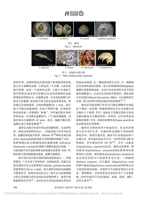 海洋水下设施生物污损及其控制技术研究进展