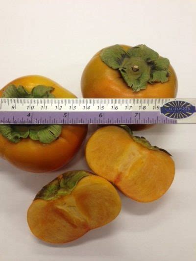 Fuyu Persimmon California Specialty Farms Fuyu Persimmon California Specialty Farms