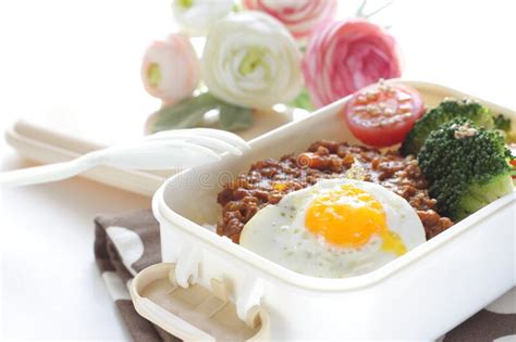 Homemade Japanese Bento Keema Mince Curry On Rice With Egg Stock Image