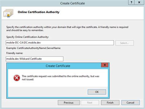 How To Make Certificate Authority Issue My Requests Stack Overflow