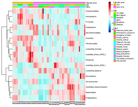 Heatmap At Phylum Level Clustering Result Shown As Heatmap Distance Download Scientific