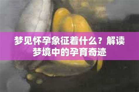 梦见怀孕象征着什么？解读中的孕育奇迹 命理解梦