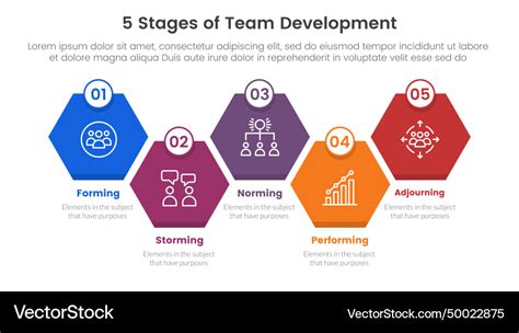 5 Stages Team Development Model Framework Vector Image