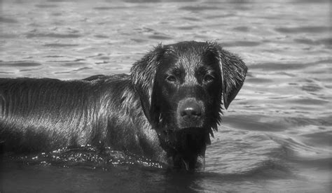 Wet Work The Middle River Group Llc