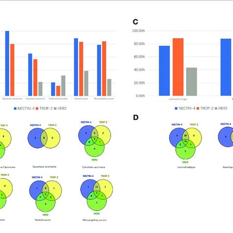 Expression Differences Of Nectin 4 Trop 2 And Her2 In Different Download Scientific Diagram