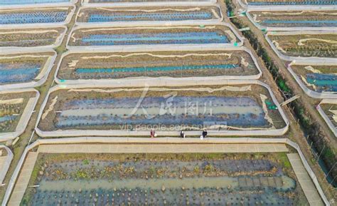 湖南常宁：循环种养助农增收 人民图片网