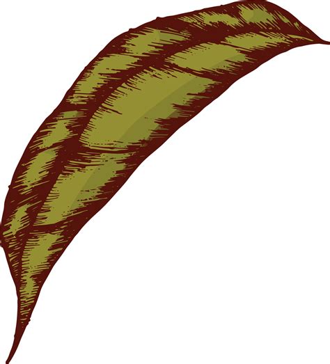 Hand Draw Sketch Leaf 10829466 Png