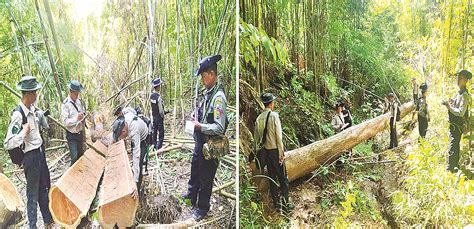 တရားမဝင် သစ်မျိုးစုံ၊ ရွှေထည်လက်ဝတ်ရတနာများ၊ ဆောက်လုပ်ရေးလုပ်ငန်းသုံး ပစ္စည်းများနှင့် မော်တော