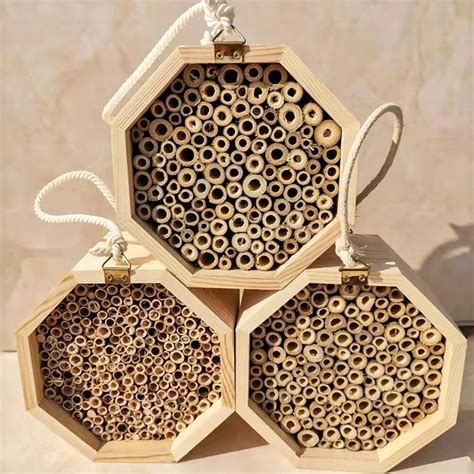 Wooden Bee House Set Tube Beekeeping Box Bees Nest Vicedeal