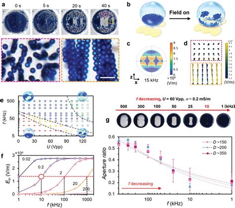 Evolution Of The Rising‐chain‐like Colloidal Assemblies At Low Download Scientific Diagram