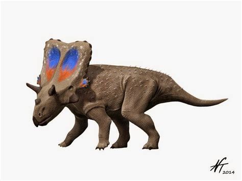 Mercuriceratops Pictures And Facts The Dinosaur Database