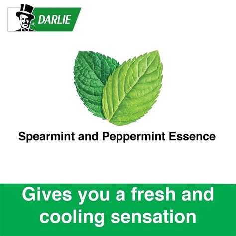 Darlie Double Action Enamel Protect Toothpaste Mild Mint Strengthen Your Enamel 200g Oral