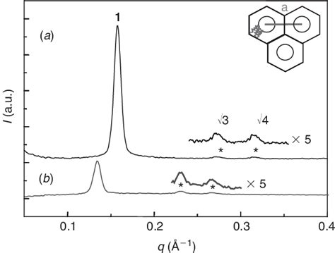 Saxs Profile Bulk Inverse Hexagonal Phase Of A Og And B Pg The