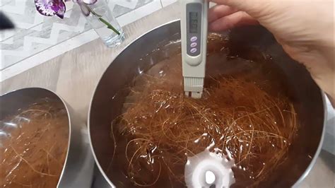 Нужно ли промывать кокосовое волокно для посадки орхидей Youtube