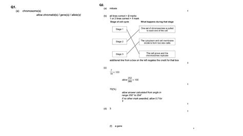 Cell Cycle Mitosis Aqa Gcse Biologypptx