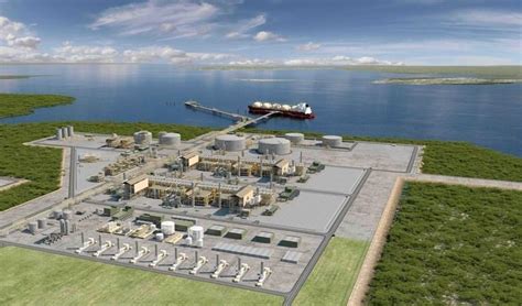 Ivory Coast Biovea Launches Work On Its 46 Mw Ayébo Biomass Plant