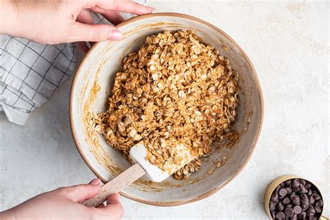 Oatmeal Chocolate Chip Bars Eating Bird Food