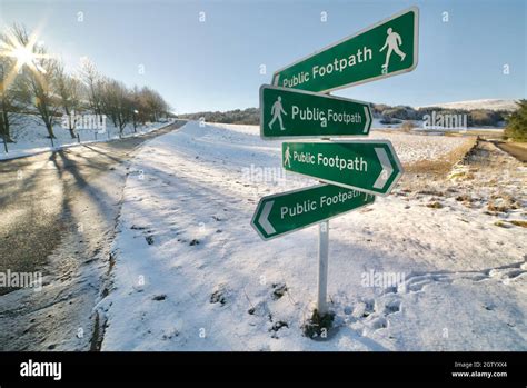 Many Paths