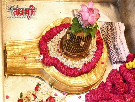 Mahashivratri धन की हो तंगी बढ़ रहा हो कर्ज या फिर धन का हो ज्यादा