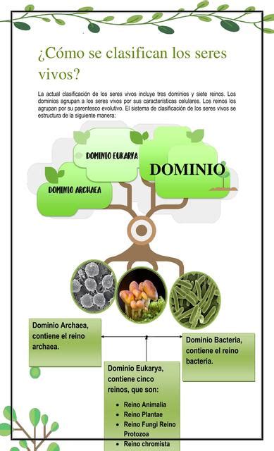Cómo Se Clasifican Los Seres Vivos