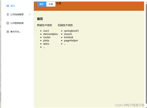 全栈入门，前后端入门 Springboot3vue3制作一个后台管理项目vuespring框架后端 Csdn博客