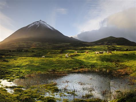 The Volcano 2351 Meters High At The Pico Island His Last Eruption