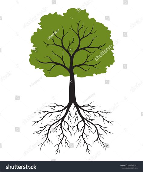 Shape Green Tree Vector Outline Illustration Stock Vector Royalty Free Shutterstock