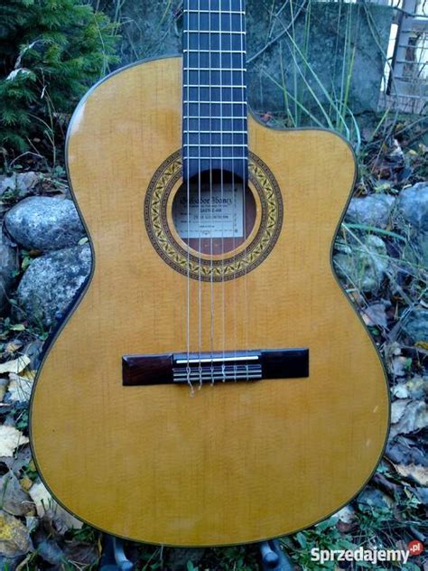 Gitara Elektro Klasyczna Ibanez Ga5tce Am Tuszyn Sprzedajemy Pl