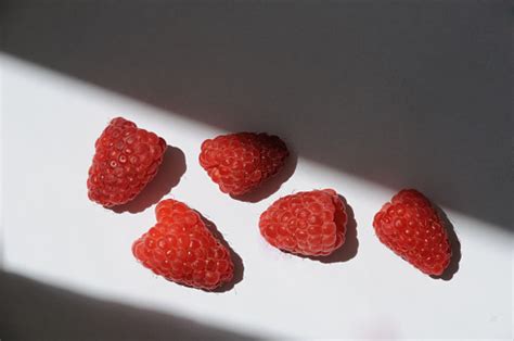 열매의 여름 배열 빛의 광선에 흰색 배경에 라즈베리 열매 위에서 볼 수 있습니다 텍스트 또는 광고를 위한 공간입니다 0명에 대한 스톡 사진 및 기타 이미지 Istock